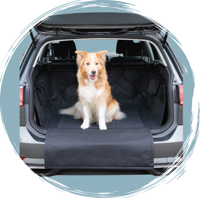 bescherm_autodeken_hond_kofferbak.png?v=1726998810